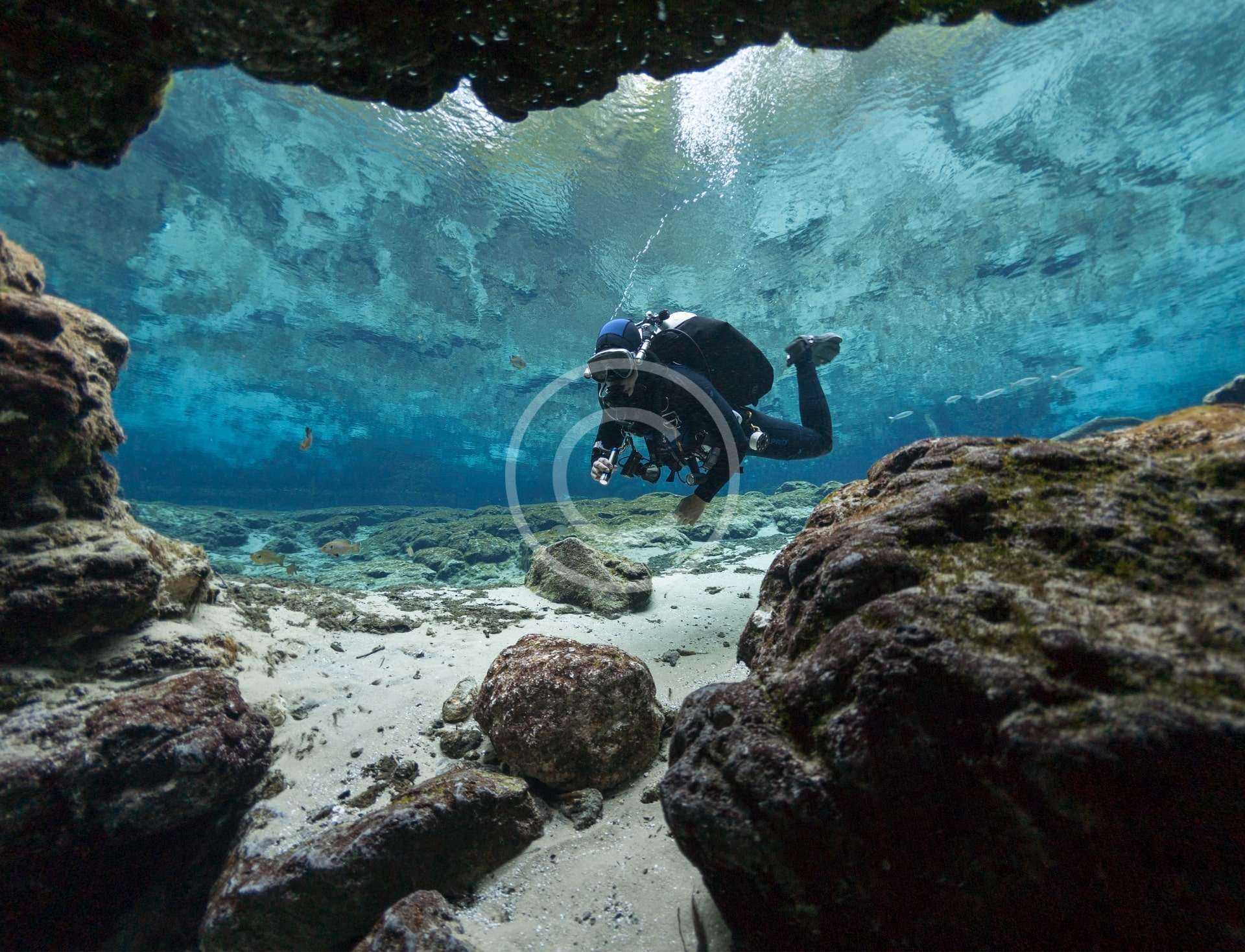 Dive Charters & Boat Trips - Southern Prairie Railway